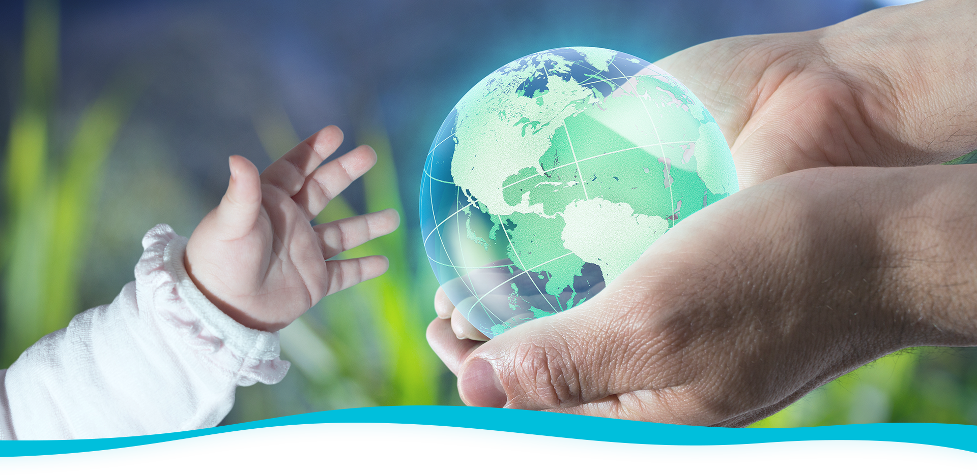 Sandy Dollar - SeaBabies